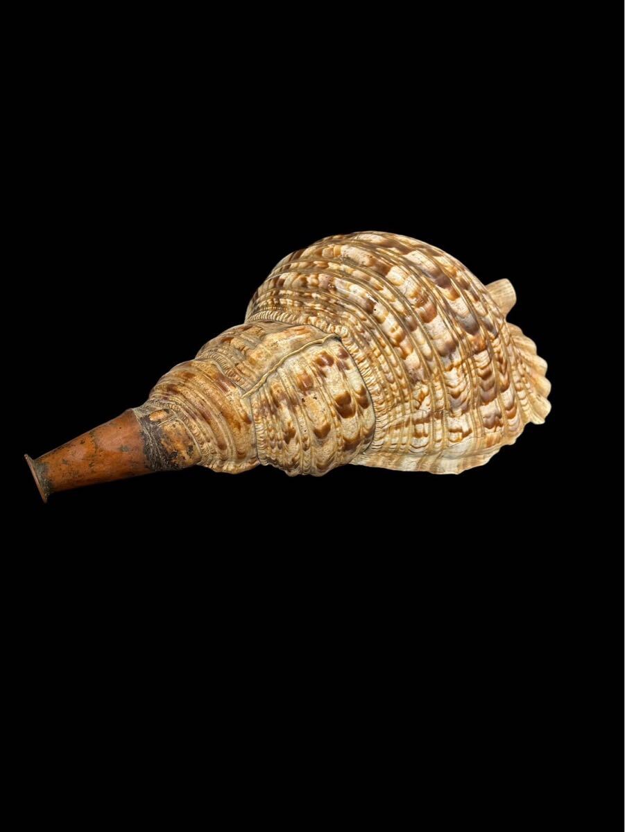 Yahoo!オークション - A10801 仏教道具 修験者 法螺貝