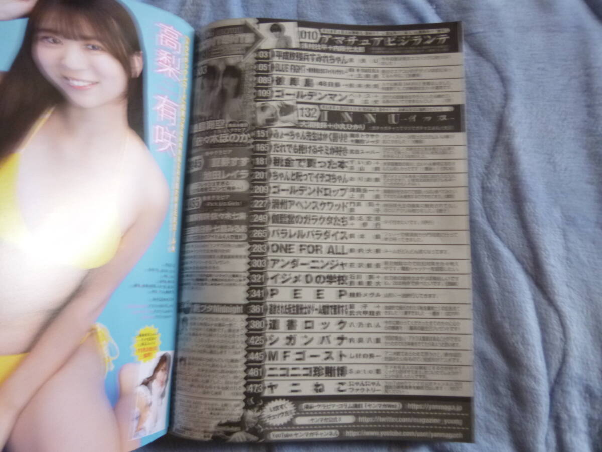 Yahoo!オークション - 週刊ヤングマガジン 2024年 No48号 桑島海空 佐...