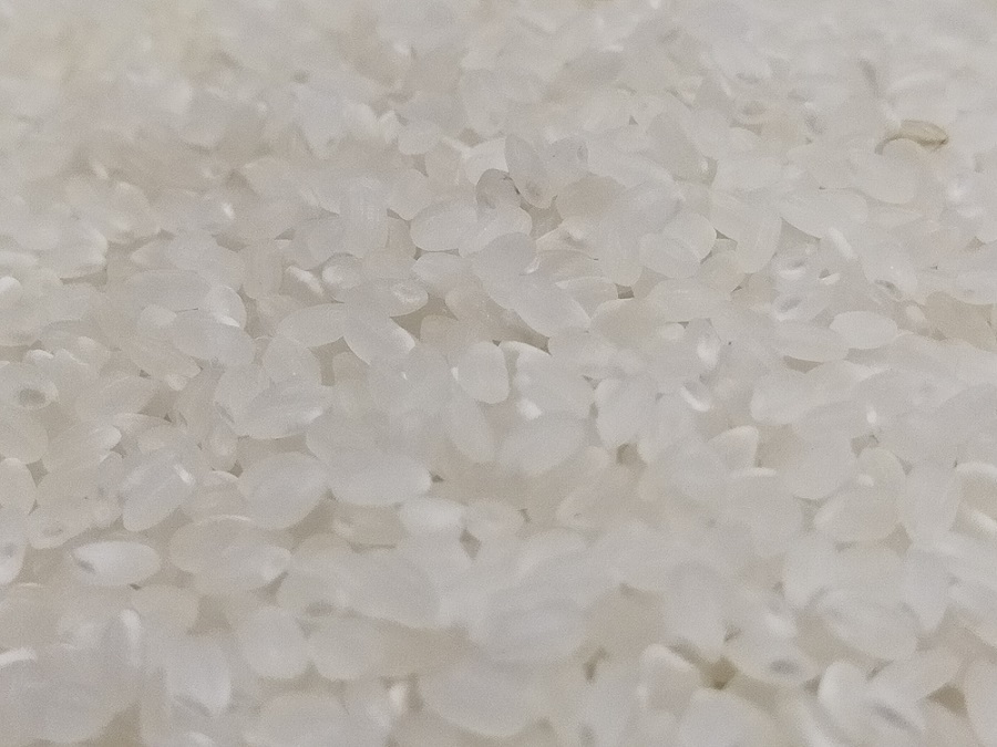 Yahoo!オークション - 【R6新米】福井県産 コシヒカリ12kg（6kg×2）...