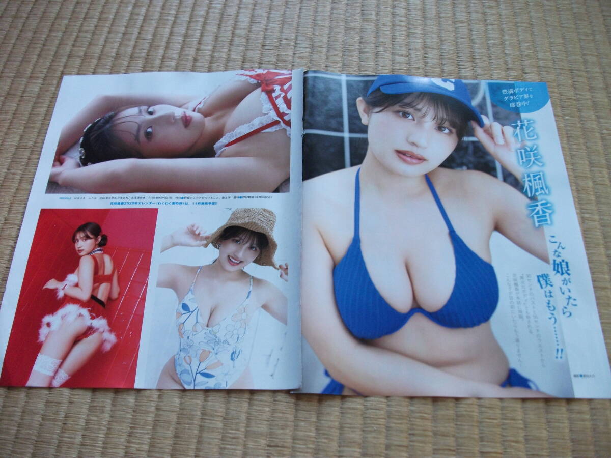 Yahoo!オークション - 花咲楓香 CA1-133