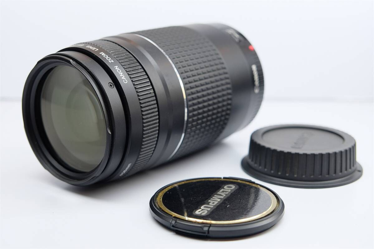 Yahoo!オークション - キャノン CANON EF 75-300mm 4-5.6 Ⅲ