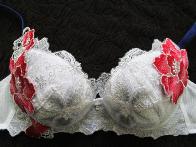 Yahoo!オークション - サルート[リボンの騎士]C70＆ショーツM WHワ...