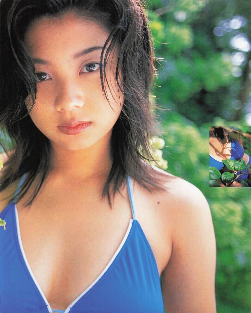 厚手ラミネート加工 小池栄子 18歳 写真集 切り抜き 巨乳 グラビアアイドル A4 8ページ YS03(タレント)｜売買されたオークション情報、yahooの商品情報をアーカイブ公開 ...