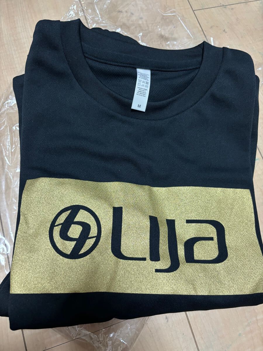 LIJA リージャ レディース ロングTシャツM テニス用 ロンT(Mサイズ)｜売買されたオークション情報、yahooの商品情報をアーカイブ公開 - オークファン（aucfan.com）