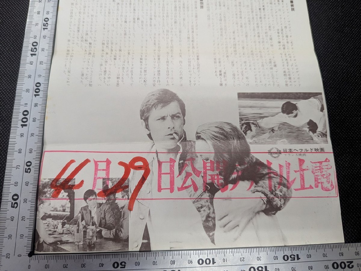 Yahoo!オークション - 長 M276/B5サイズ 映画チラシ/「太陽が知ってい...