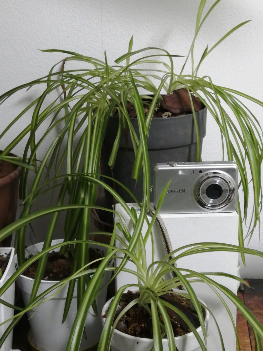 Yahoo!オークション - デジカメ FINEPIX J30 FUJIFILM シルバー