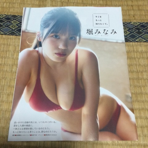 【切り抜き】堀みなみ 6P EX大衆 2024年11月号 :: Yahoo!Auction｜DEJAPAN - Bid and Buy Japan with 0% commission