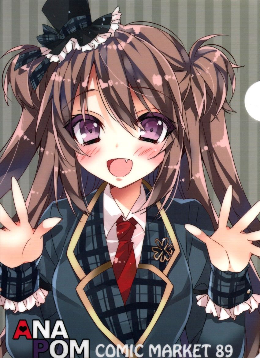 Yahoo!オークション - 『擦り傷＆爪痕あり』 C89/ANAPOM あなぽん A4ク...