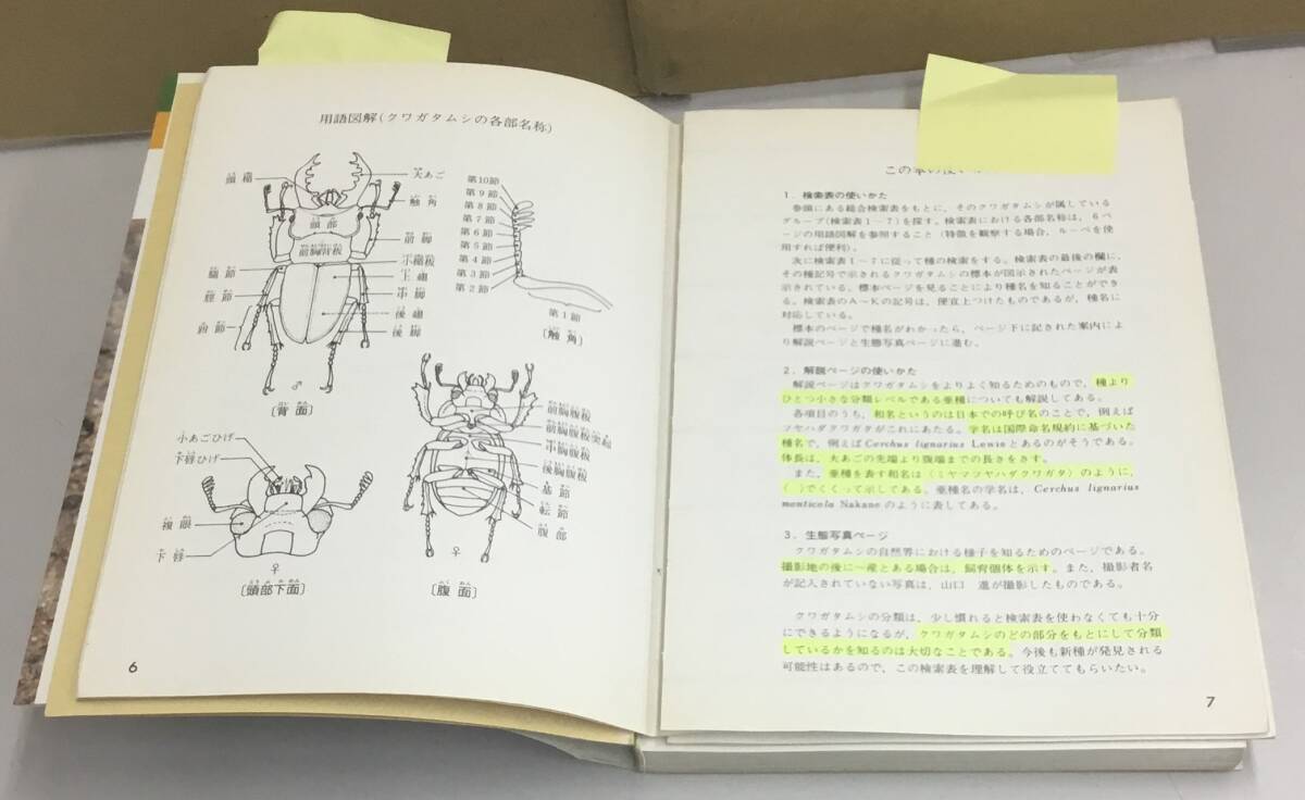 Yahoo!オークション - K1030-27 検索入門 クワガタムシ 黒澤良彦 著者 ...
