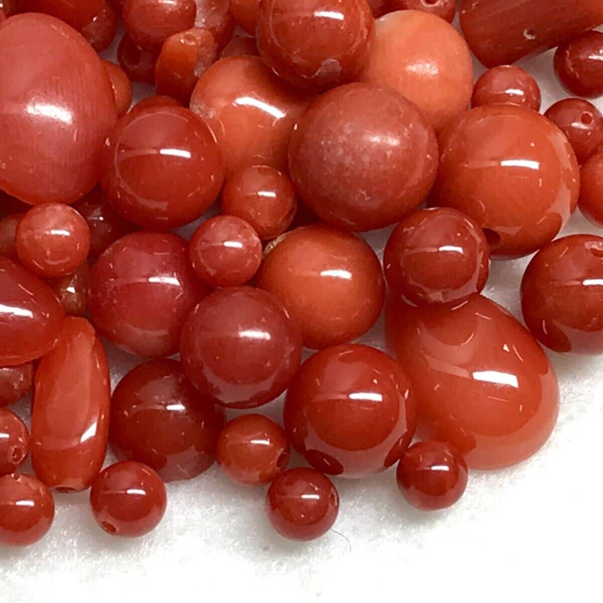 Yahoo!オークション - 小粒 大量 (天然本珊瑚おまとめ19.4g)o 約97ct ...