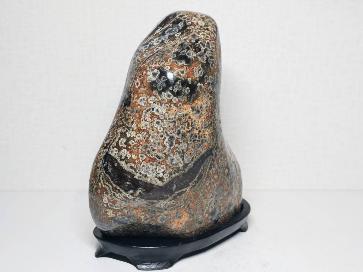 九頭竜】 2 1kg 梅花石 紋石 花紋石 菊花石 原石 鑑賞石 自然石 九頭竜】 2 1kg 梅花石 紋石 花紋石 菊花石 原石 鑑賞石 自然石