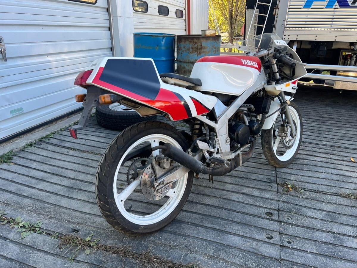 Yahoo!オークション - ヤマハ TZR50