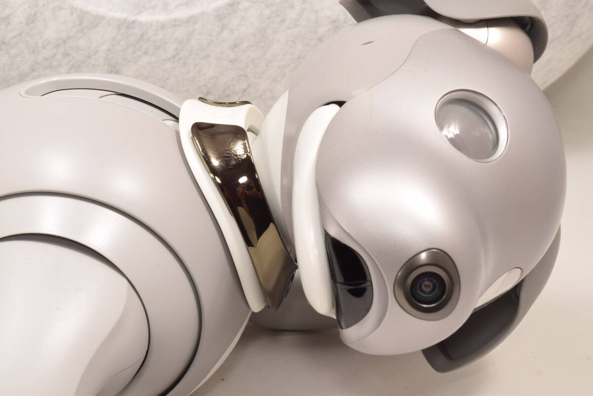 黒ゴマ ソニー アイボ ERS-1000 アイボーン ボール AIBO 犬型 黒ゴマ ソニー アイボ ERS-1000 アイボーン ボール AIBO 犬型