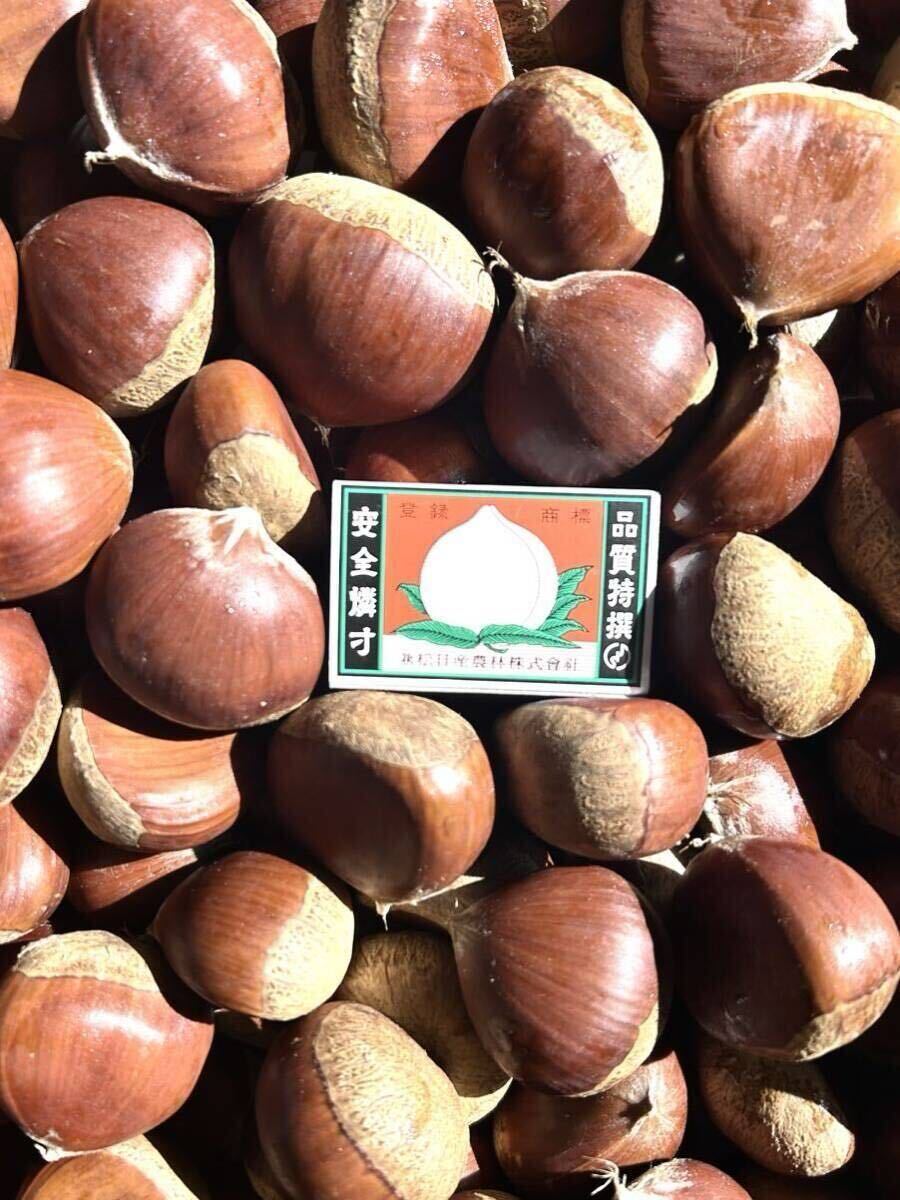 Yahoo!オークション - R6 生栗 3Lサイズ 1.4kg 会津産 無農薬 栗【無料...