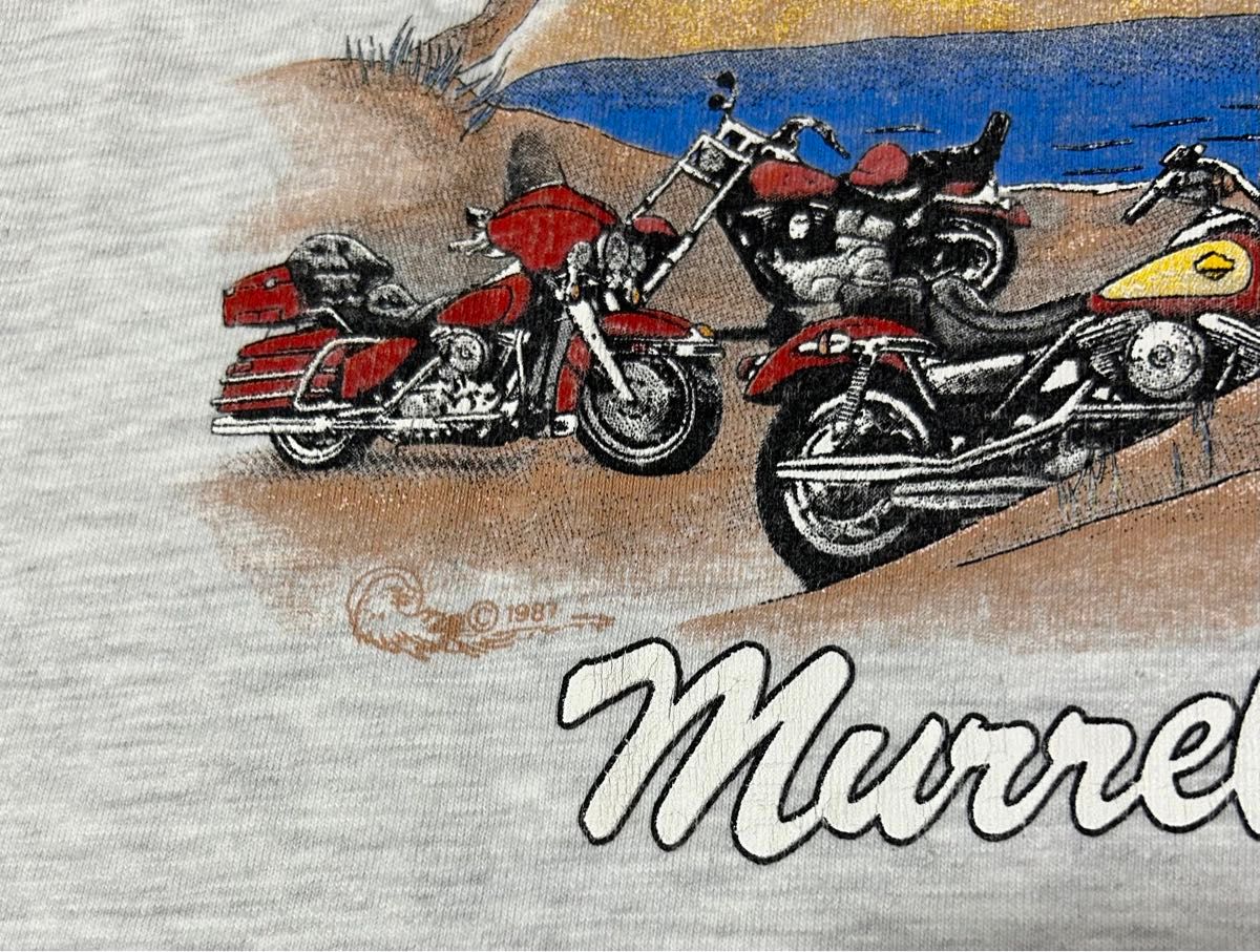 激レア XL 90s harley davidson ブルーフレイム ロンT|Yahoo 激レア XL 90s harley davidson ブルーフレイム ロンT|Yahoo