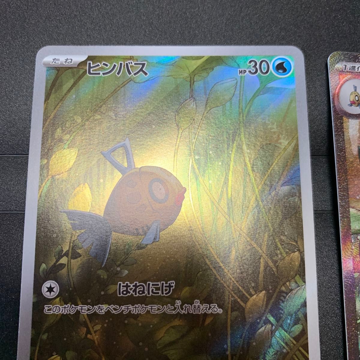 ミロカロスex SAR ヒンバスAR 進化セット ポケモンカード|Yahoo ミロカロスex SAR ヒンバスAR 進化セット ポケモンカード|Yahoo