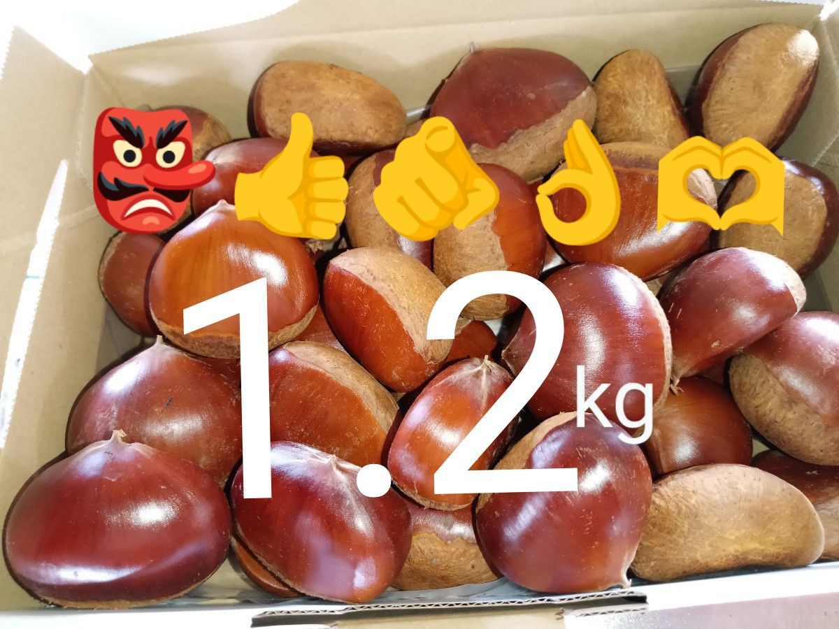 超感謝祭 茨城県産 生栗 1 2kg｜Yahoo!フリマ（旧PayPayフリマ）