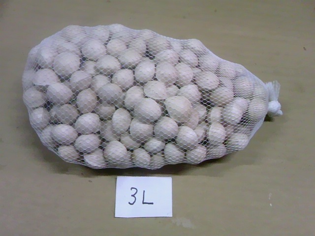 Yahoo!オークション - 今季3Lサイズ 900g 1700円 送料込み ぎんなん ギ...