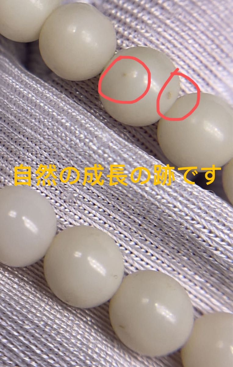本珊瑚 サンゴ 白珊瑚 ネックレス 宝石珊瑚 沖縄産 5-8mm ケース 本珊瑚 サンゴ 白珊瑚 ネックレス 宝石珊瑚 沖縄産 5-8mm ケース