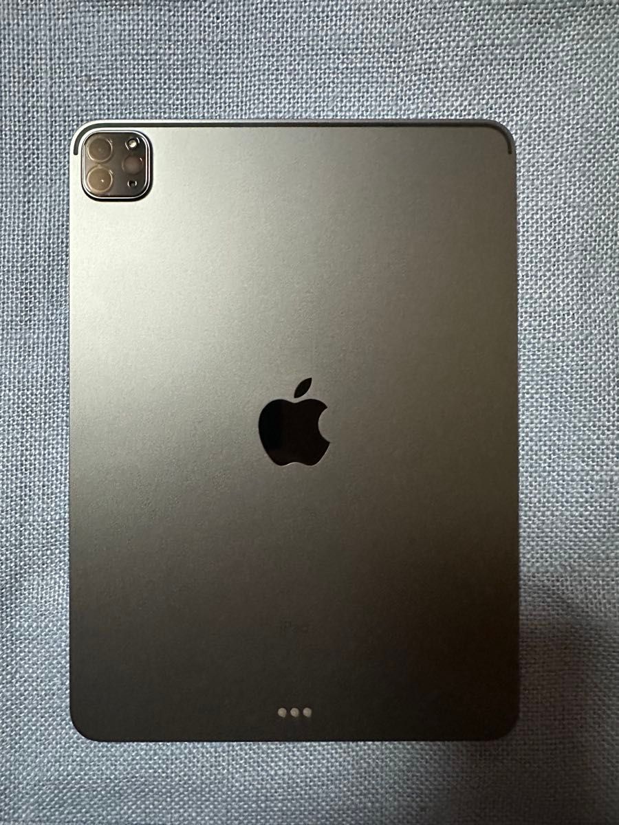 極美品 注意点あり iPad Pro 11 第3世代 256GB 2021年式 M1 極美品 注意点あり iPad Pro 11 第3世代 256GB 2021年式 M1