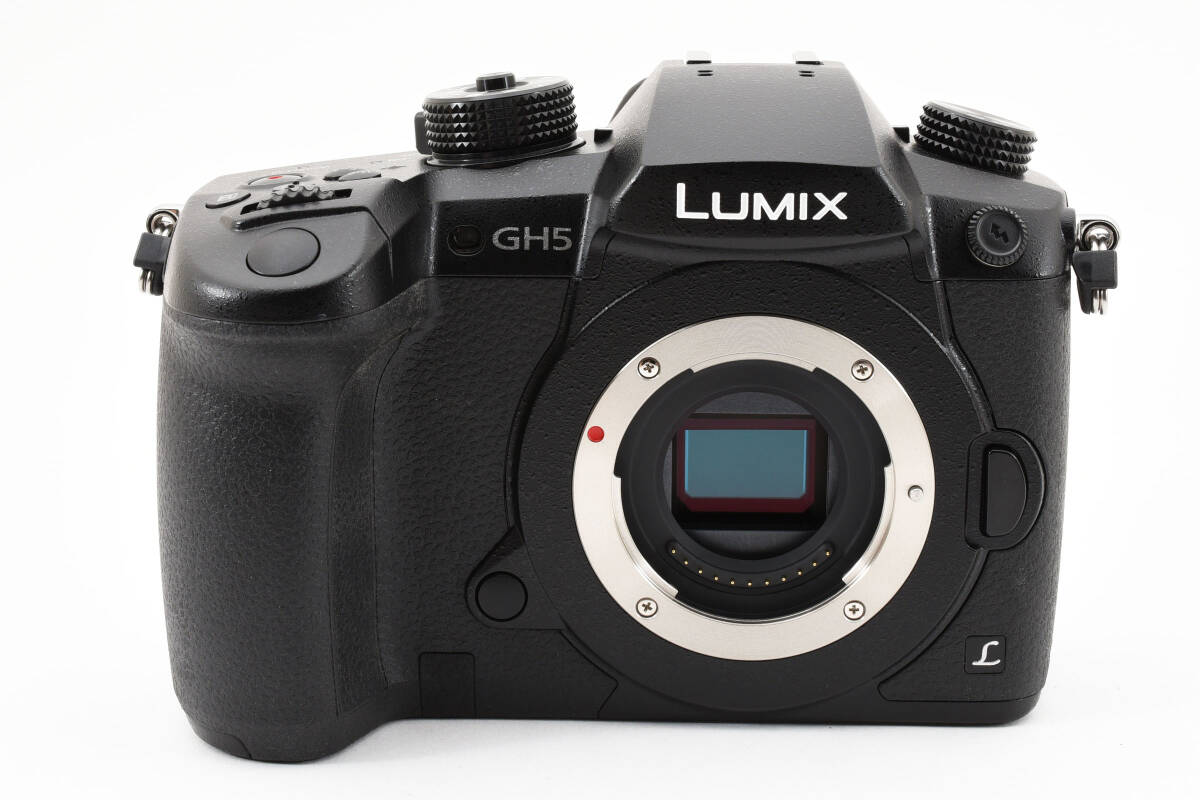 Panasonic LUMIX GH5 ボディ ブラック RD-SPM049 パナソニック #881 ルミックス(パナソニック)｜売買されたオークション情報、yahooの商品情報をアーカイブ ...
