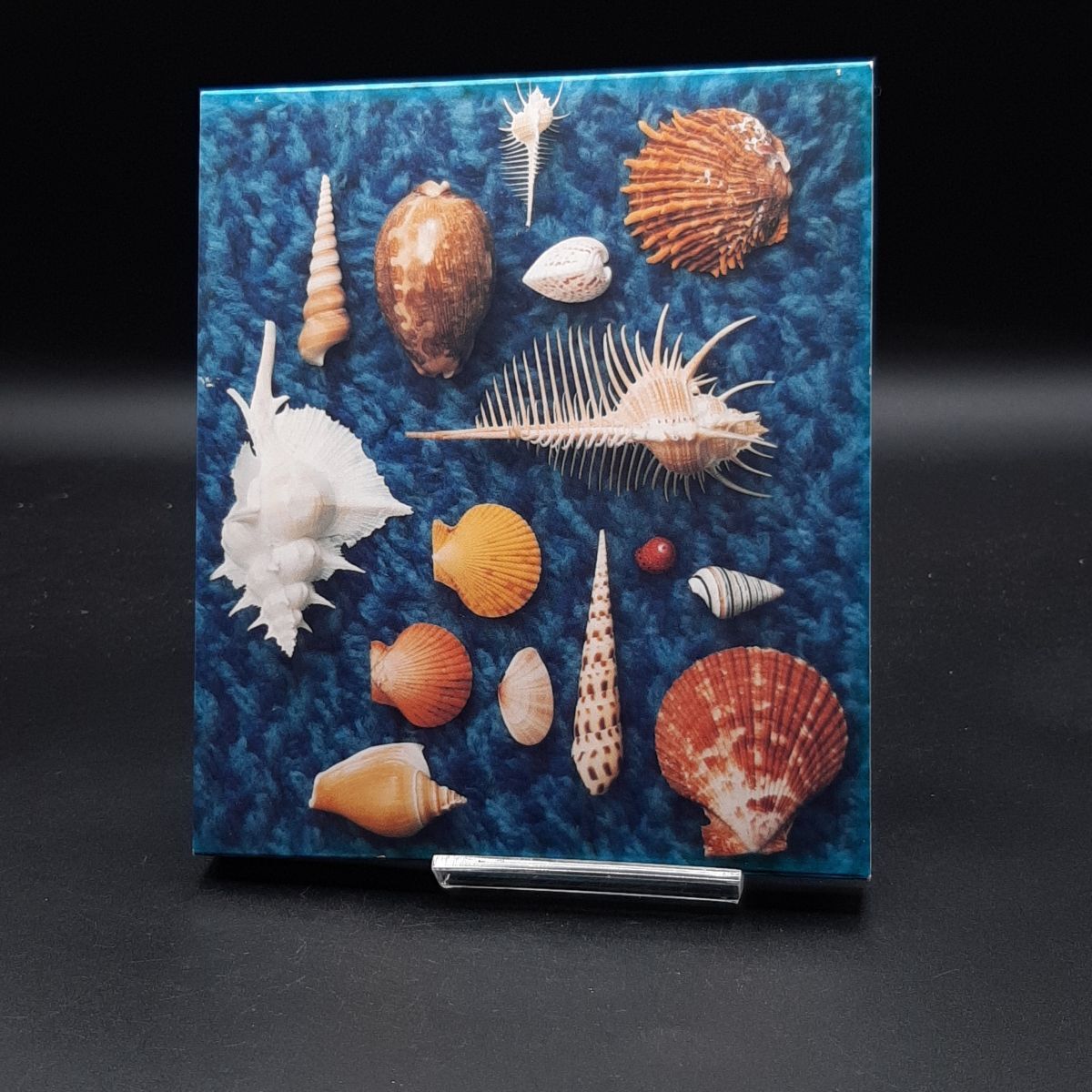 Yahoo!オークション - SA20 スピッツ / CYCLE HIT 1991-1997 Spitz Com...