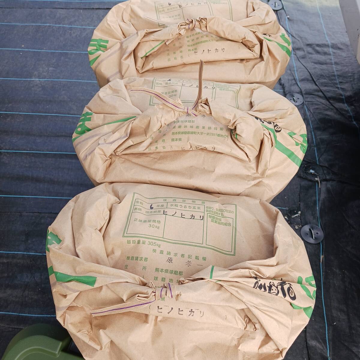 Yahoo!オークション - ヒノヒカリ 新米 令和6年度産 30㎏ 玄米 冷め...
