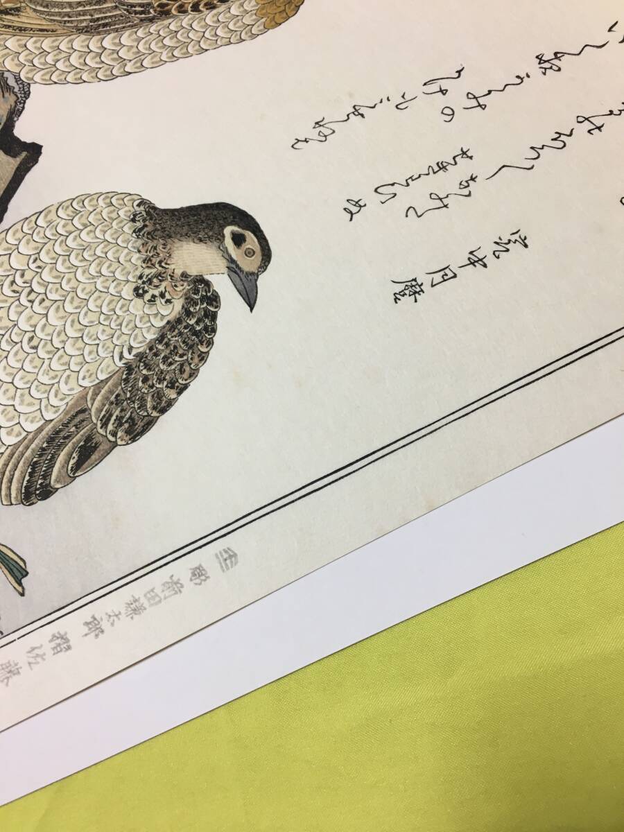 Yahoo!オークション - Z359サ 「喜多川歌麿 絵本百千鳥」 手摺木版画 ...