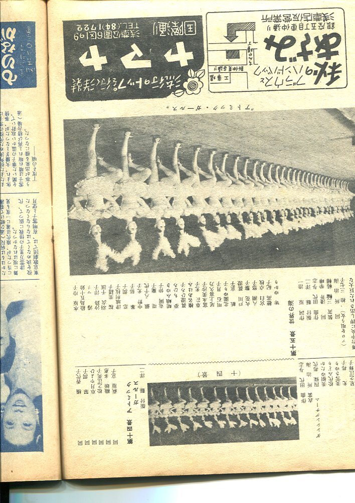 D- 松竹歌劇団 SKD 総出演 吉例第十六回グランド レビュー 秋のおどり 浅草国際劇場 NO.66 昭和廿六年(演劇一般)｜売買されたオークション情報、yahooの商品情報をアーカイブ公開 ...