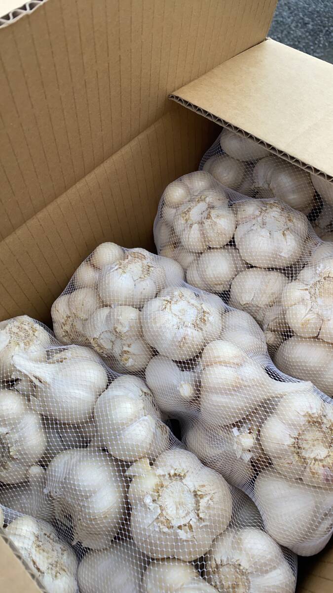 Yahoo!オークション - 令和6年青森県 乾燥にんにく10Kg M 福地ホワイト...