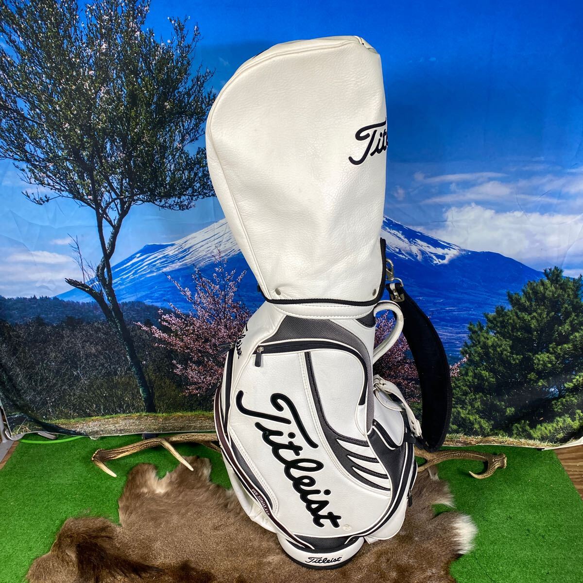 Yahoo!オークション - JGB-1913 タイトリスト キャディバッグ