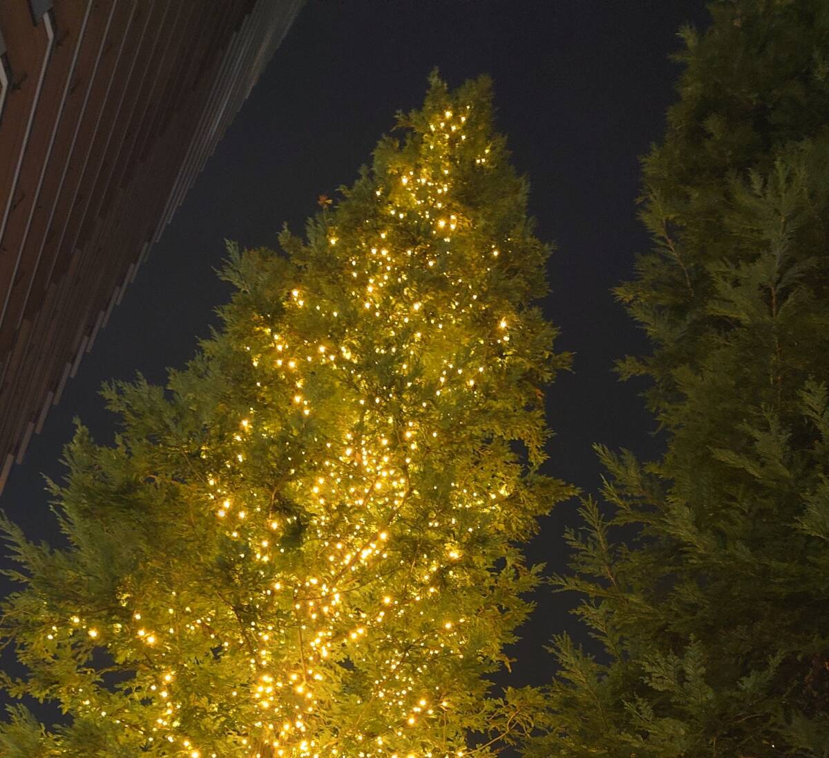 Yahoo!オークション - dss 様専用