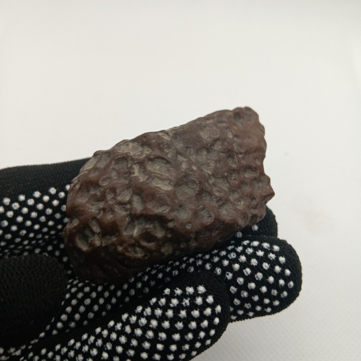 Yahoo!オークション - TH 227 アルタイ隕石 自然石 原石 鉄隕石 石鉄隕...