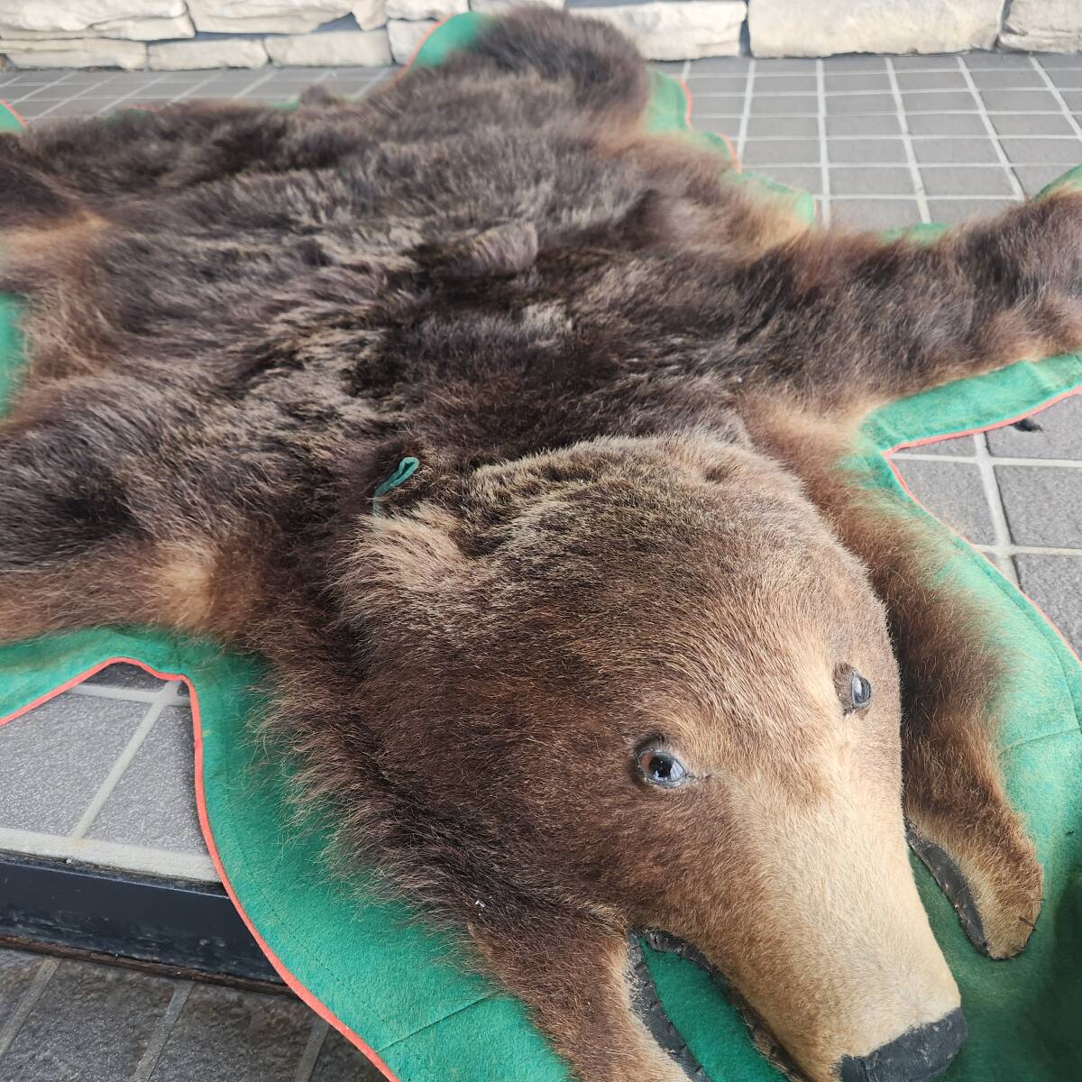 熊 毛皮 絨毯 全長約140cm はく製 頭部 爪あり 敷物 ラグ インテリア ヒグマ 現状品 24L 北TK3(科学、自然)｜売買されたオークション情報、yahooの商品情報をアーカイブ公開 ...