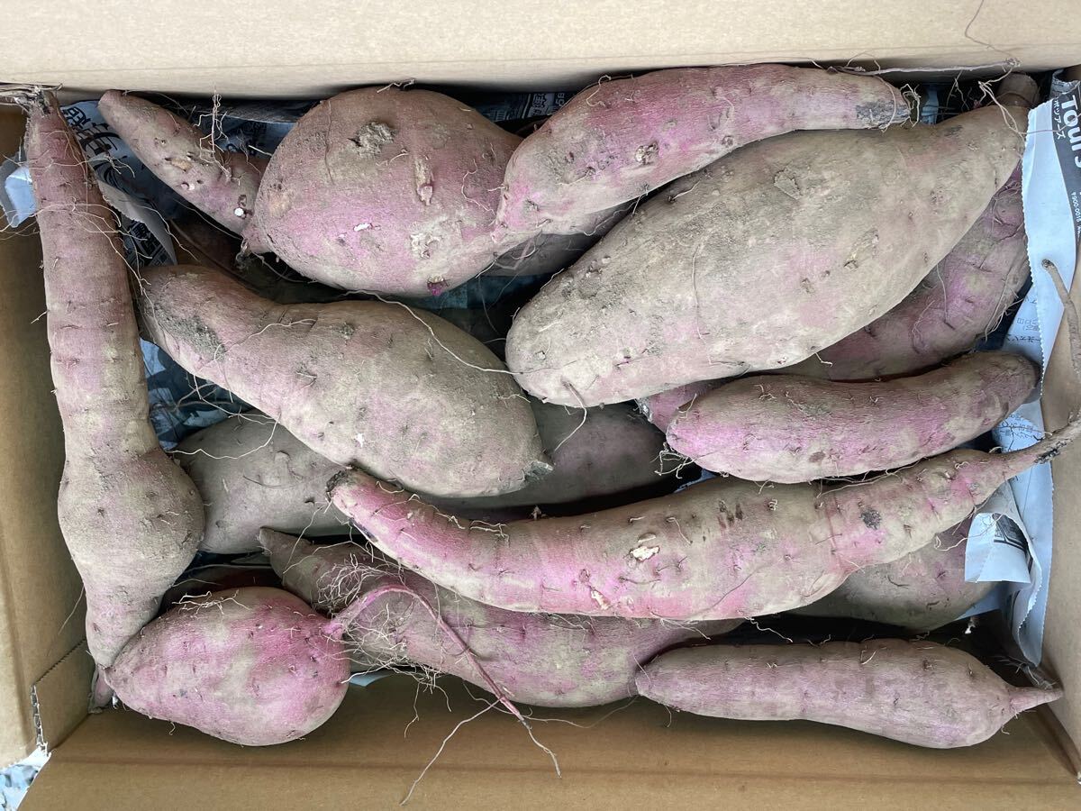 Yahoo!オークション - 10kg 土付き 少し訳あり 紅はるか べにはるか サ...