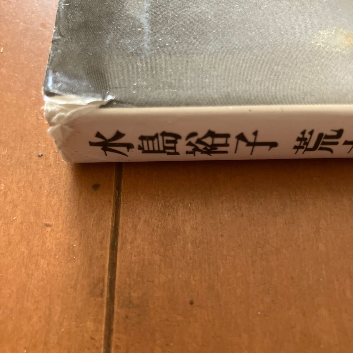 Yahoo!オークション - 墨東エロス 荒木経惟 水島裕子 光文社 写真集