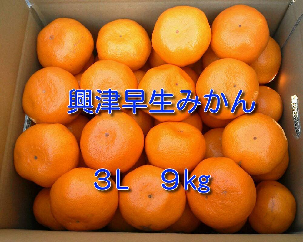 Yahoo!オークション - 『興津早生』 3Lサイズ 9kg みかん 生産者直送 ...