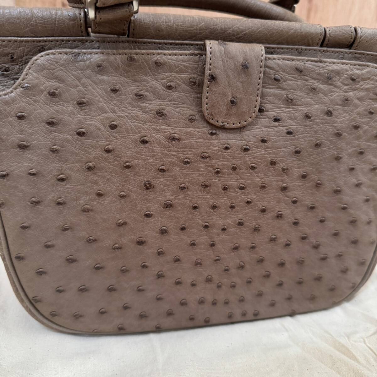 Yahoo!オークション - B43 JRA 全日本爬虫類皮革産業共同組合 オース...