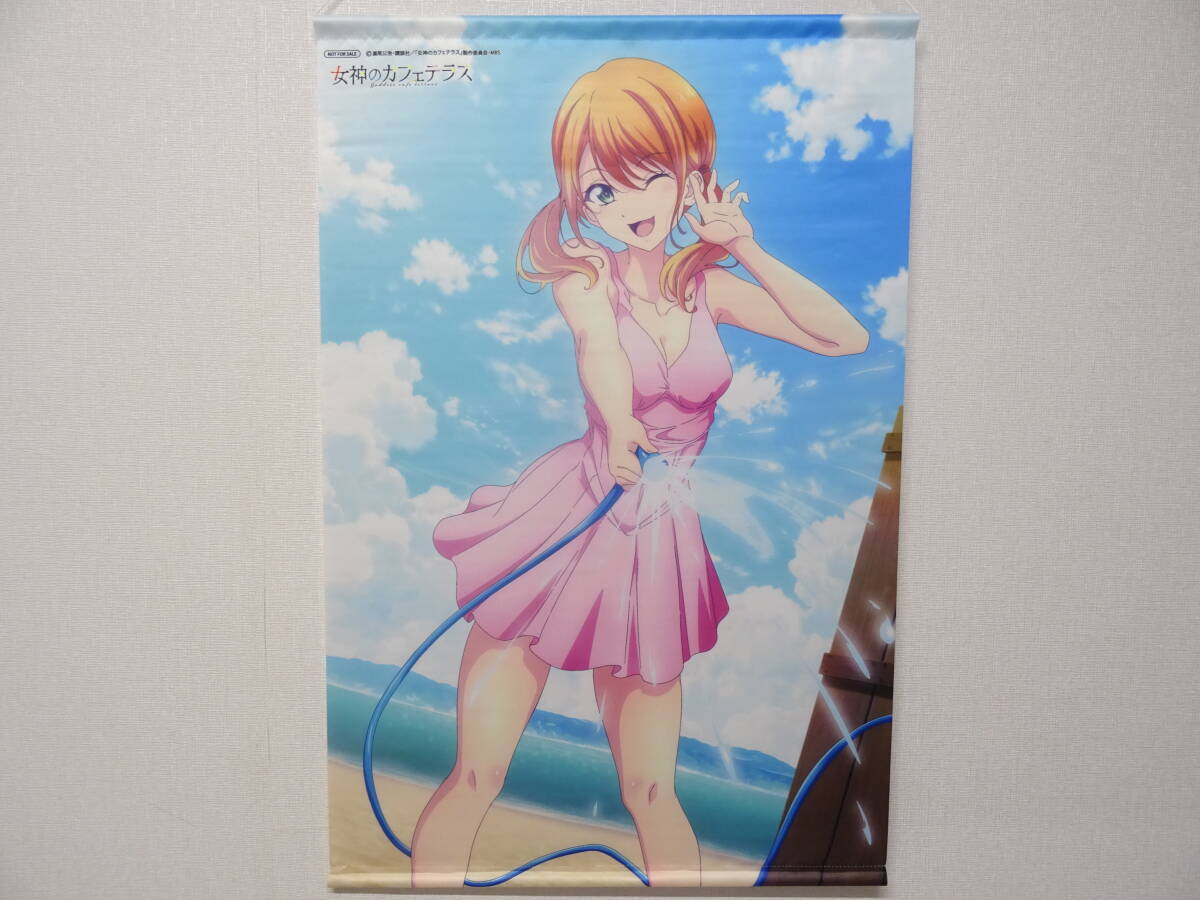 Yahoo!オークション - HO-997 女神のカフェテラス Blu-ray ゲーマーズ ...