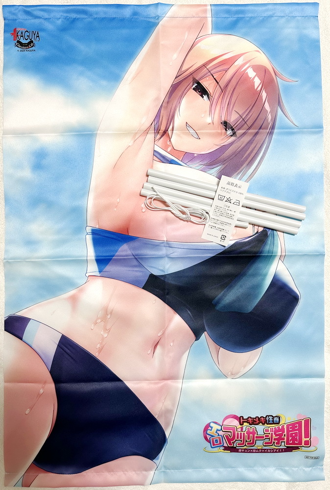 B2タペストリー ソフマップ特典 トキメキ性春エロマッサージ学園 イツキト アトリエかぐや Sofmap 膣キュン×珍ムク×イカシアイ(タペストリー)｜売買されたオークション情報、yahooの ...