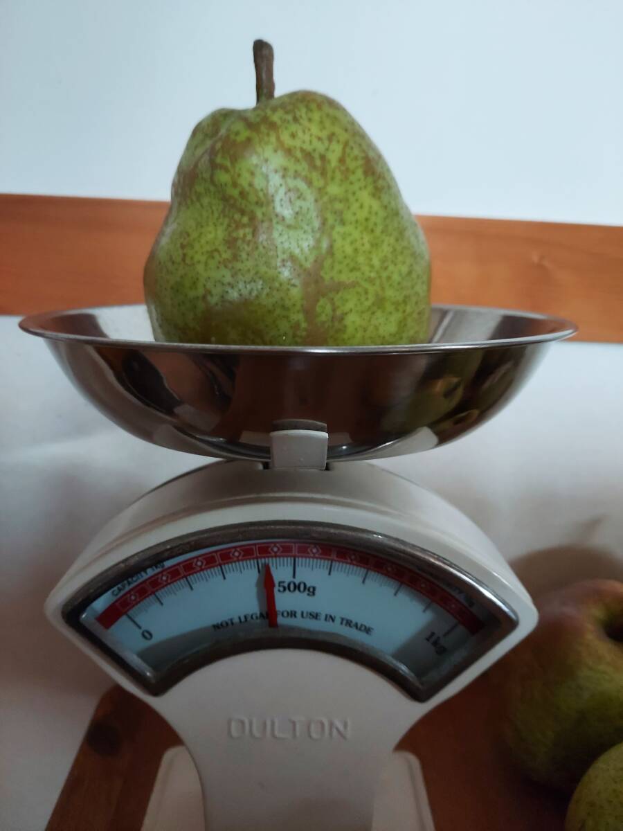 Yahoo!オークション - 山形発 県産ラ・フランス 予冷済品 4L 12個 約5K...