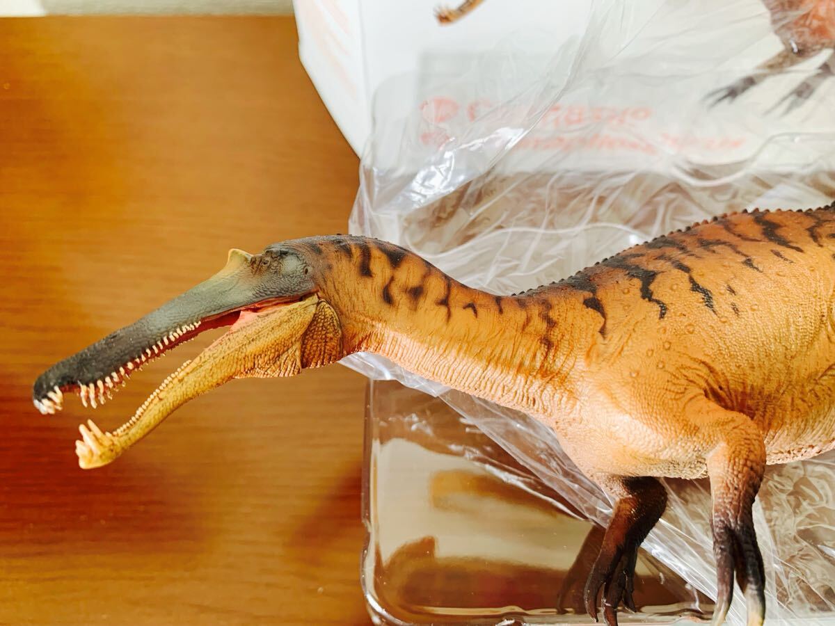 Yahoo!オークション - 美品 未使用 PNSO 成長シリーズ 66 シノプリオサ...