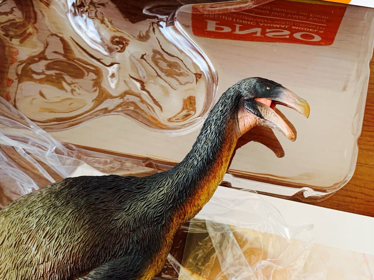 Yahoo!オークション - 美品 未使用 PNSO 成長シリーズ 65 テリジノサウ...