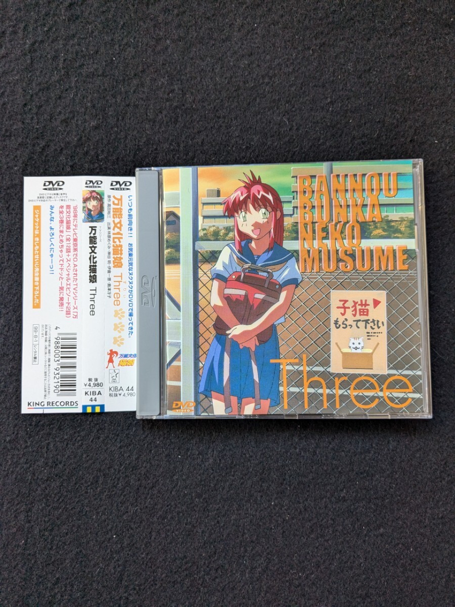 Yahoo!オークション - TVシリーズ 万能文化猫娘 Three DVD アニメ 高田...