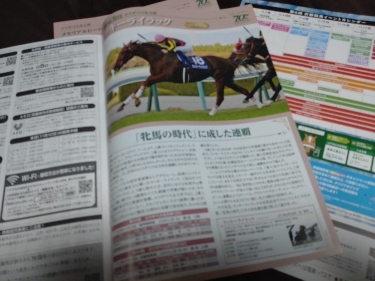 Yahoo!オークション - JRA 2020年第45回エリザベス女王杯 記念入場券＆...