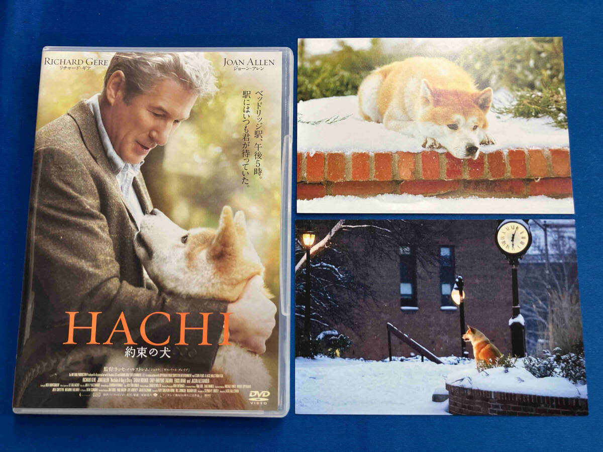Yahoo!オークション - DVD HACHI 約束の犬