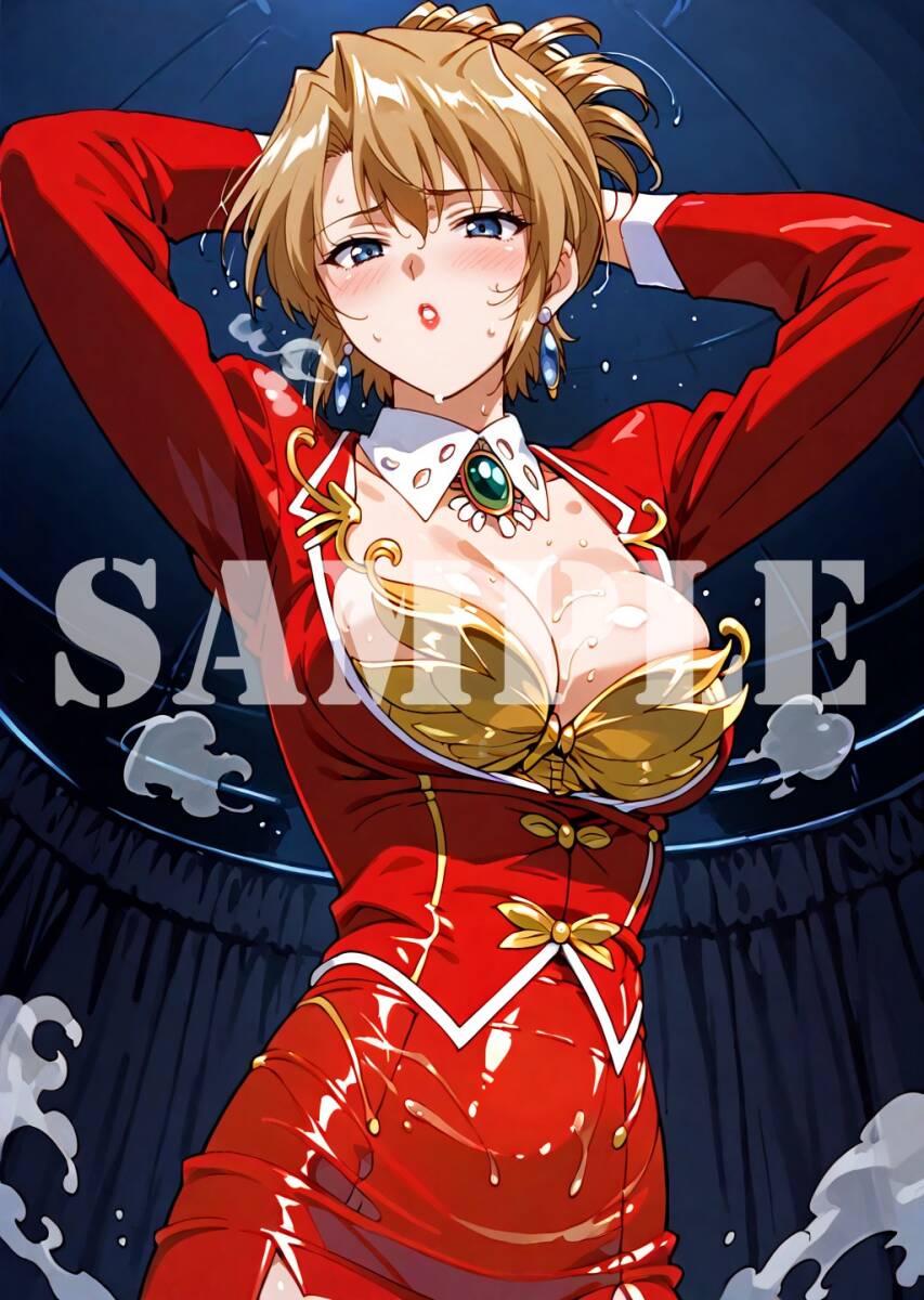 Yahoo!オークション - サービス品 AIKa 皇藍華 すめらぎ あいか A4 ポ...