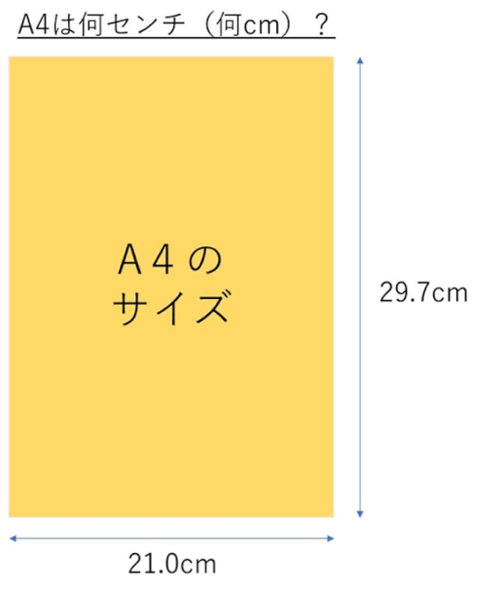 Yahoo!オークション - A4サイズ ラミネート加工 ポスター 河合奈保子 ...