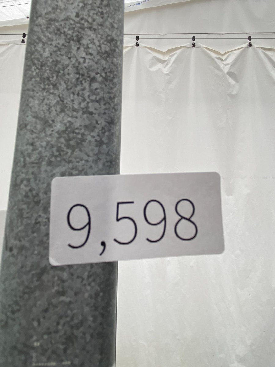 Yahoo!オークション - 9598 「実生」オペルクリカリア パキプス XL 抜...