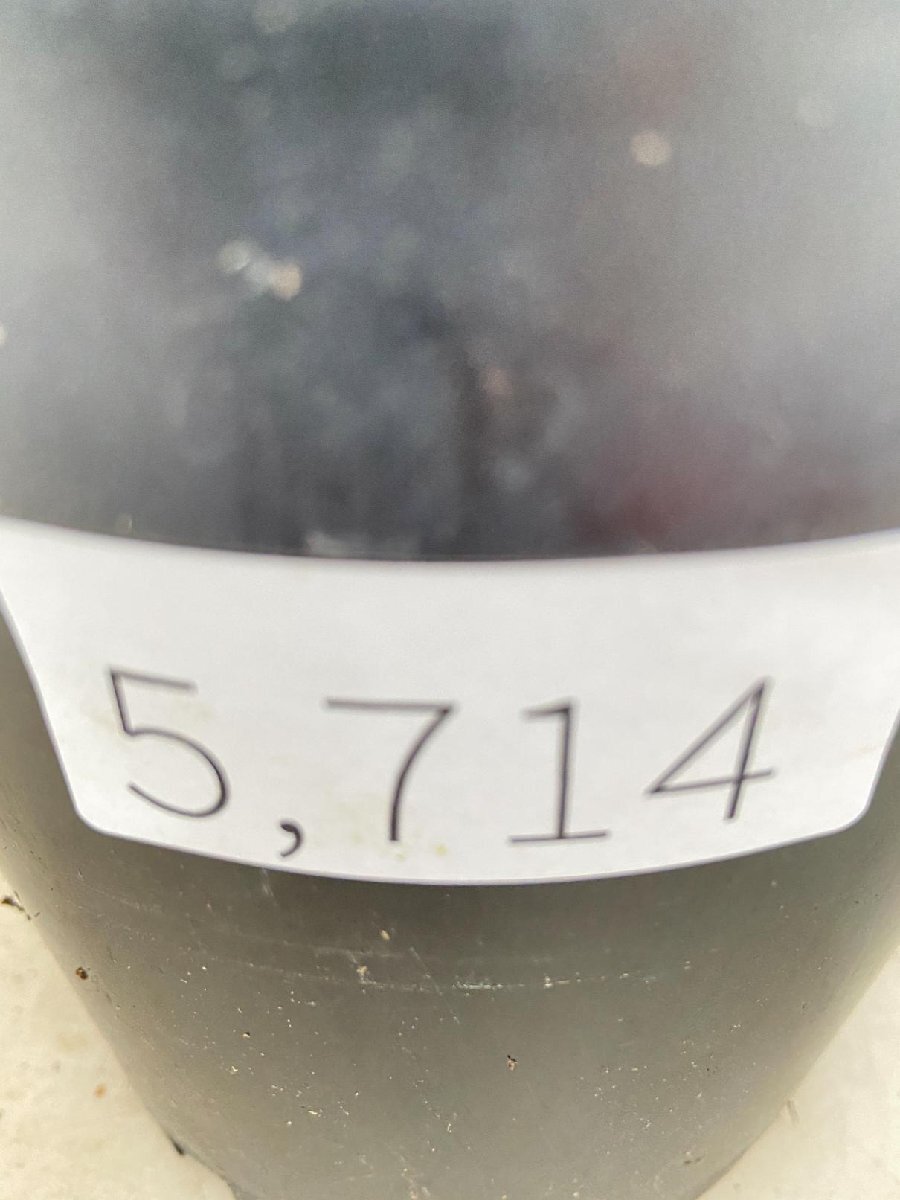 Yahoo!オークション - 5714 「果樹苗」ハイブリッドブルーベリー ピン...